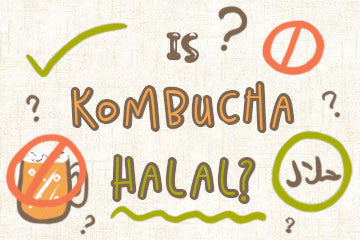 Is Kombucha Halal? A Detailed Guide – Grow Your Pantry