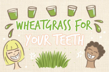 Wheatgrass For Teeth: The Oral Health Guide – Grow Your Pantry